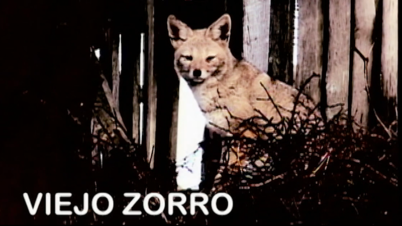 Viejo Zorro - CNTV PLAY